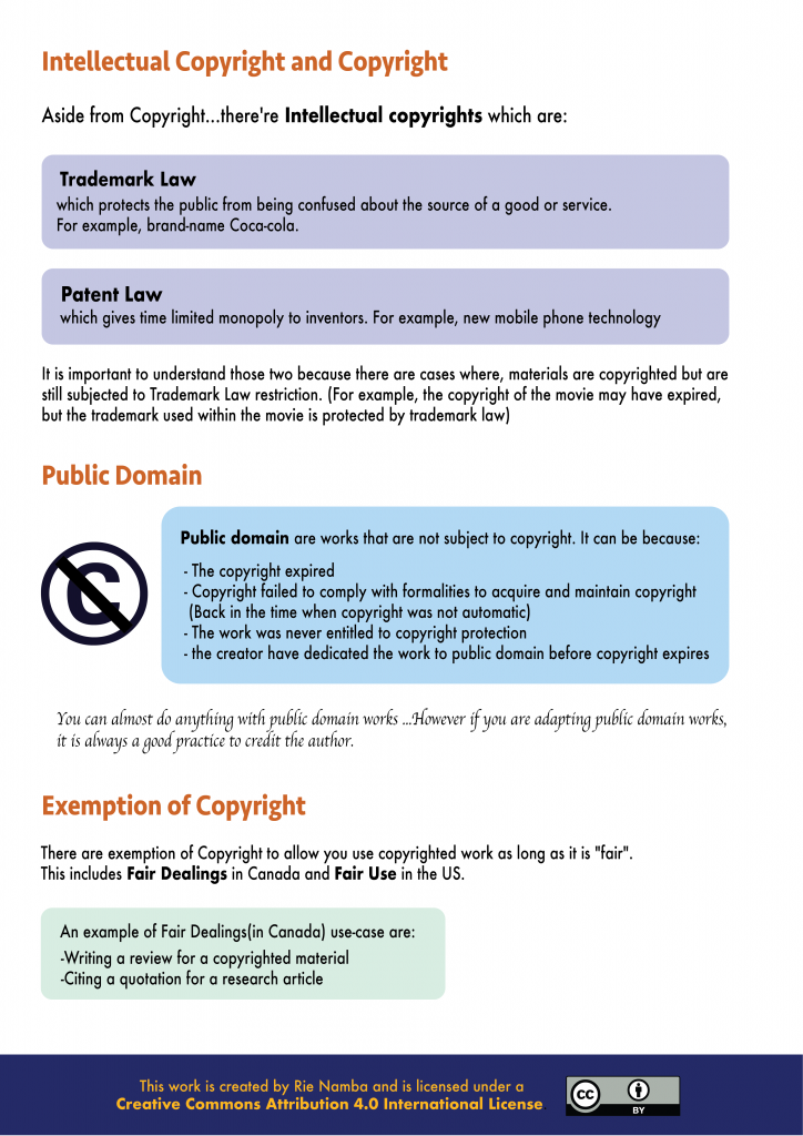 Infographic Copyright 101 - DreamsAnatomy